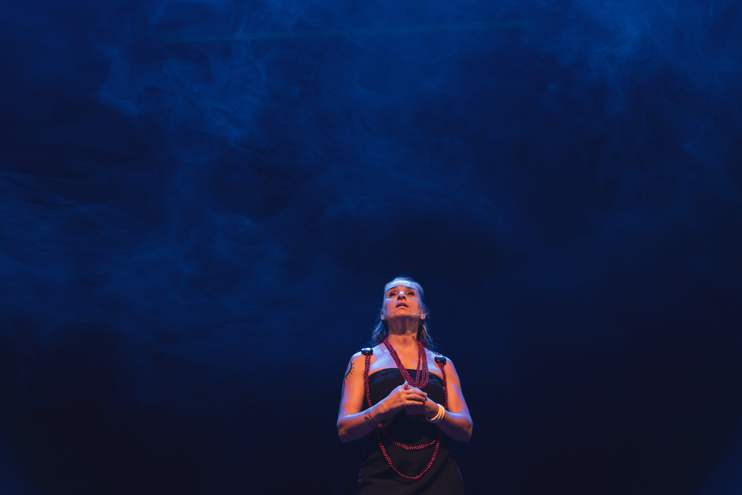 Dans le ciel des mers du sud - Céline Ripoll